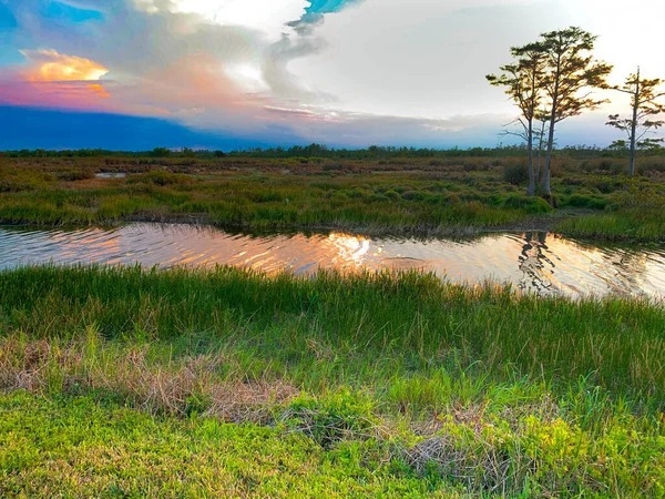 Science Program Director - Metairie, LA